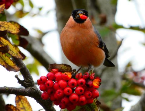 Your pictures of Scotland: 7 - 14 October - BBC News