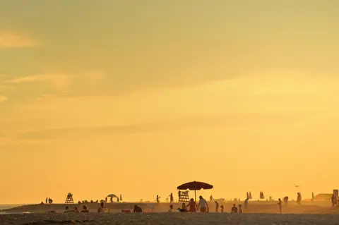 Your pictures on the theme of 'my summer'