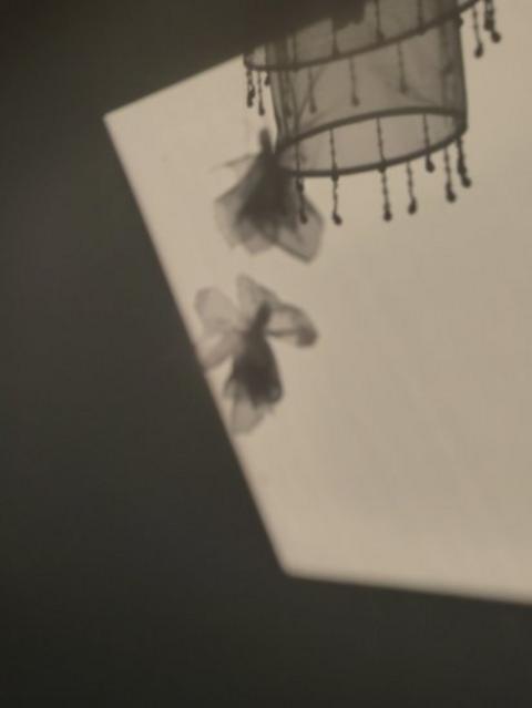 Your pictures: Shakespeare - BBC News