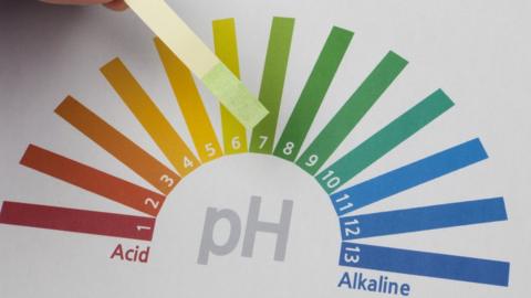 Quién fue Soren Peder Lauriz, el químico que acuñó el concepto del pH y ...