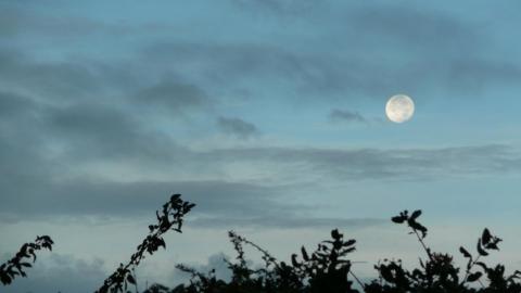 Harvest Moon shines brightly over UK - BBC News