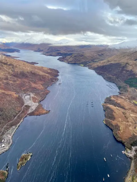 Your pictures of Scotland 29 January - 5 February