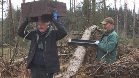 Ae forest pine marten poo count shows number growth - BBC News