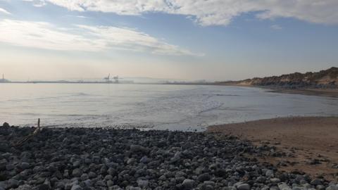 Tees estuary: Oysters and seagrass to be used to restore habitat - BBC News