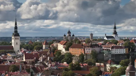 Rats trip up Estonia's e-economy