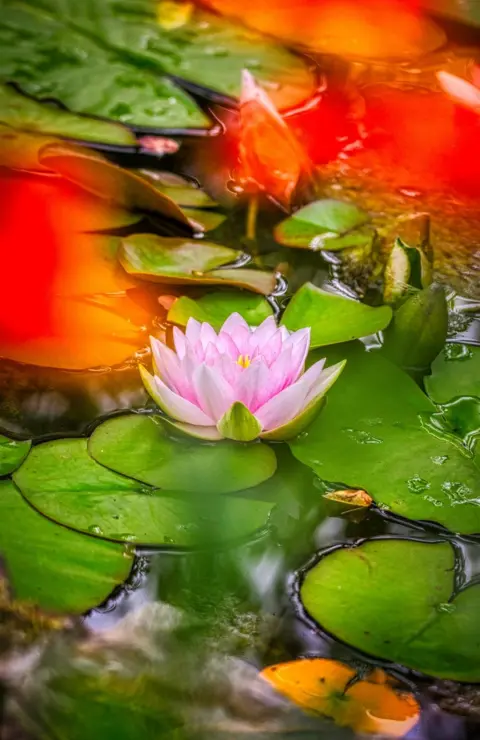 Your pictures of Scotland: 5-12 Aug