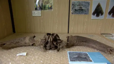 Neolithic henge unearthed at East Anglia One cable site