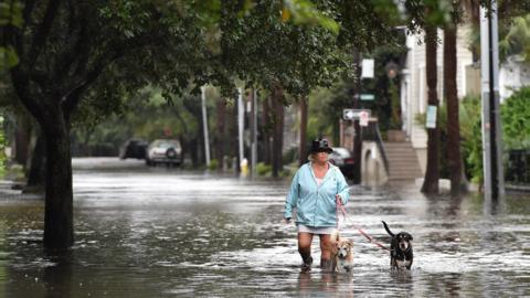 US election 2020: What the results will mean for climate change - BBC News