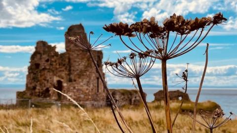 Your pictures of Scotland: 4-11 August - BBC News