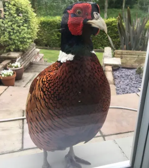 Your pictures of Scotland 25 June - 2 July