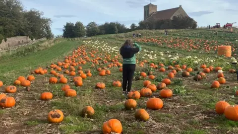 Your pictures of Scotland: 13 October - 20 October