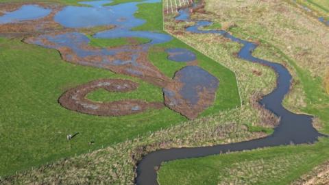 River Cole: Historic floodplains to be restored - BBC News