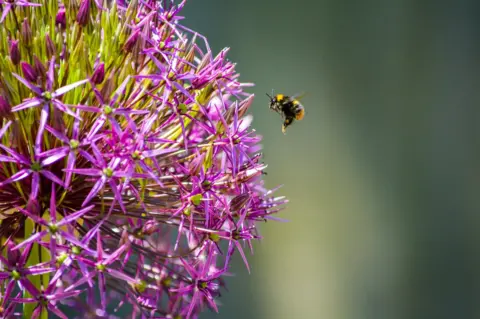 England's Big Picture: 1 - 7 June