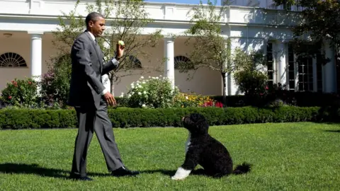 Obamas' dog Bo dies: 'We said goodbye to our best friend'