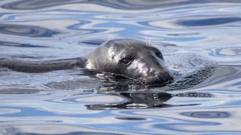 Your pictures of Scotland: 29 July-5 Aug