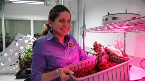 The first person on Mars 'should be a woman' - BBC News