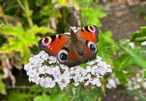 Your pictures of Scotland: 9-16 September - BBC News