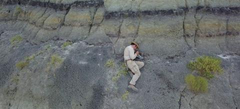 Chicxulub asteroid impact: Stunning fossils record dinosaurs' demise ...