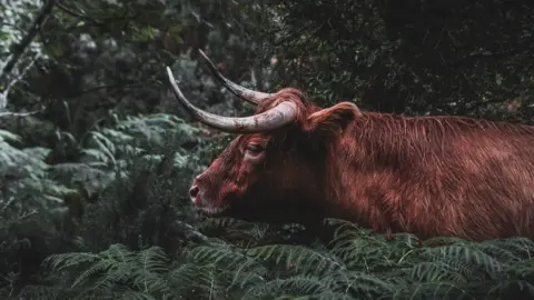 Your pictures of Scotland: 18-25 August