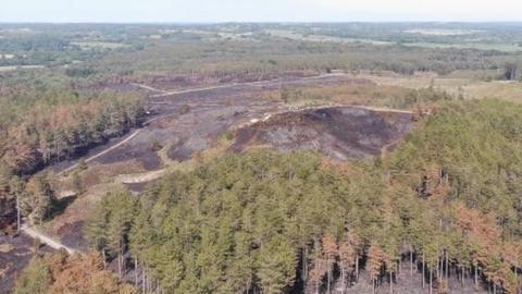 Wareham Forest fire flare-ups continue to spread after six days - BBC News