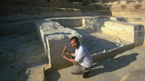 Fossils: What England's discoveries have told us about our past