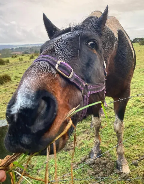 Your pictures of Scotland 11 - 18 December