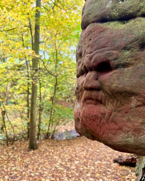 Your pictures of Scotland: 28 October - 4 November - BBC News