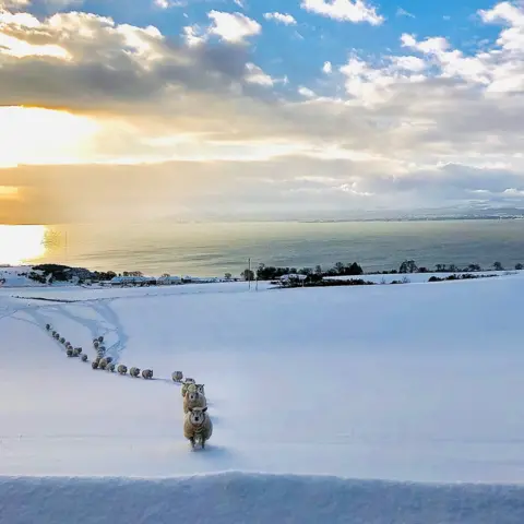 Your pictures of Scotland 5 - 12 February