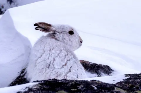 Your pictures of Scotland 21 - 28 February