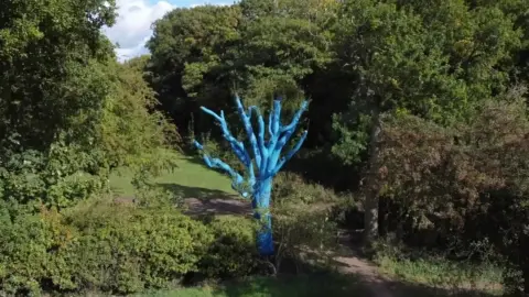 Grimsby: Blue tree sparks mental health conversation