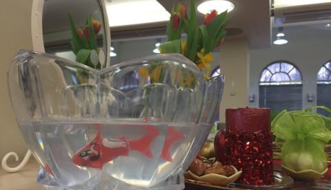 Iran president shuns Nowruz goldfish tradition - BBC News