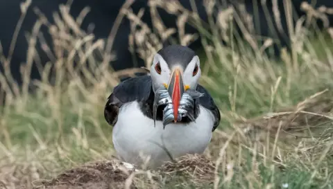 Your pictures of Scotland: 7-14 July