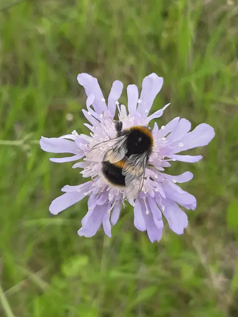 Your pictures of Scotland: 21 July to 28 July