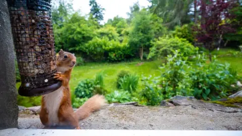 Your pictures of Scotland: 10-17 June