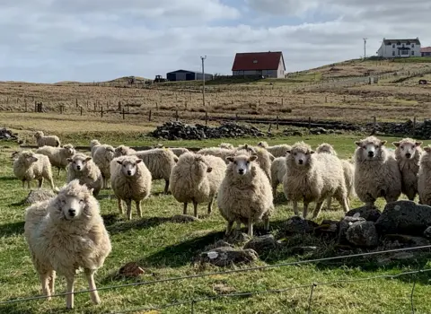 Your pictures of Scotland 9 - 16 April