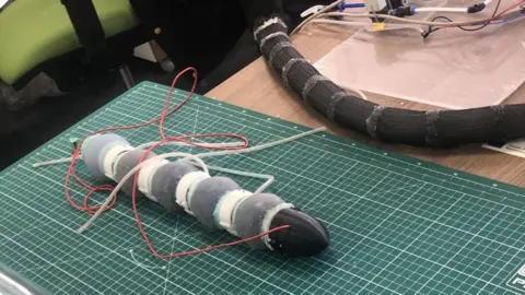 Why robotic worms could one day dig beneath your feet