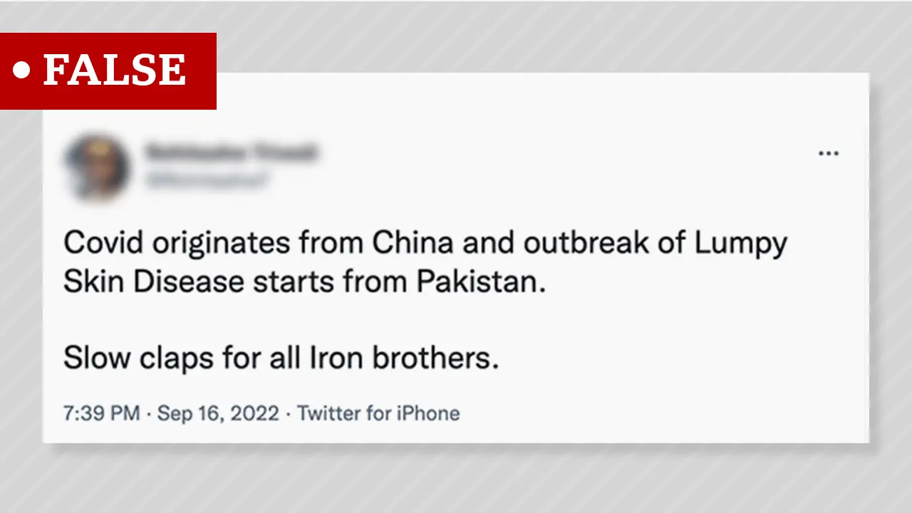 Lumpy skin disease: Viral cattle disease sends rumours flying in India