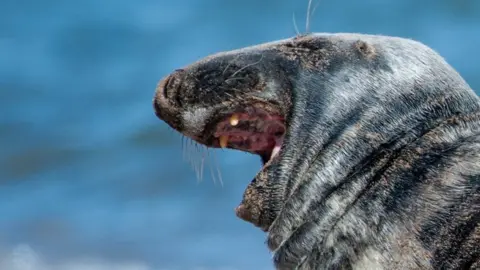 Your pictures of Scotland 23 - 30 April