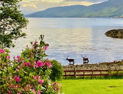 Your pictures of Scotland: 3 - 10 September