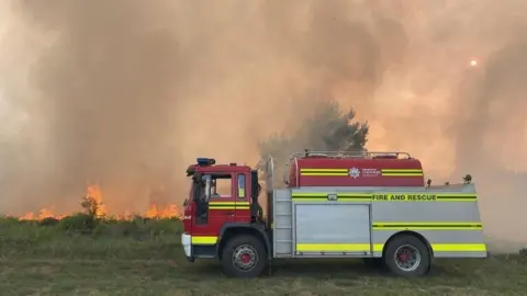 Army explosives training caused forest fire at Hampshire camp, says MoD