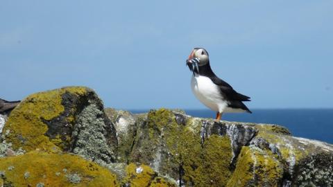 Your pictures of Scotland: 23 to 30 June - BBC News