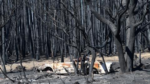 Australia fires: Life during and after the worst bushfires in history ...
