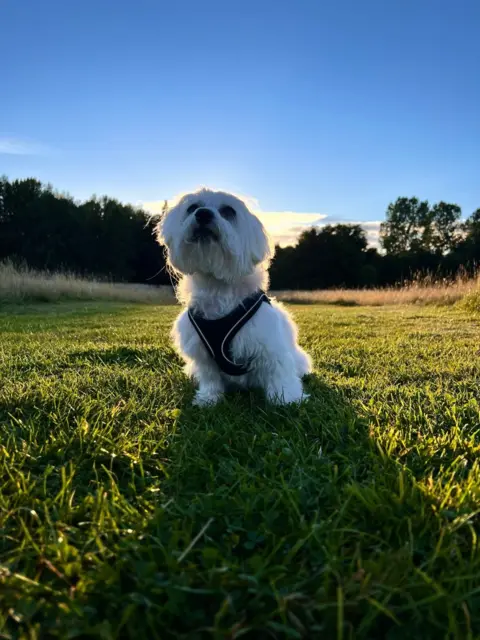 Your pictures of Scotland: 26 August-2 September