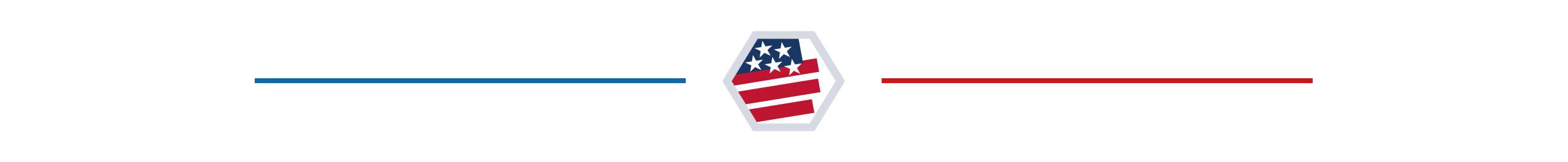 US election 2020: What is the electoral college? - BBC News