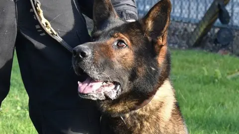 PD Axle: Memorial service held for police dog