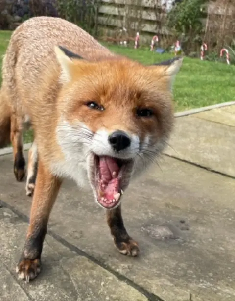 Your pictures of Scotland: 11- 18 February