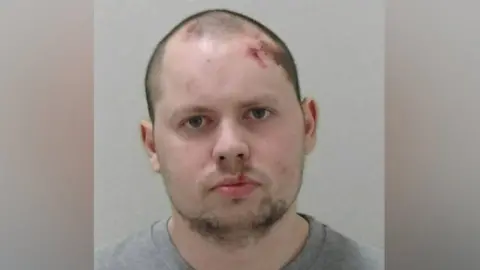 Michelle Hanson: Alexander Carr admits Sunderland murder