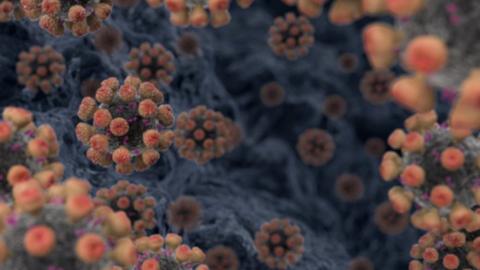 Covid: Essex declares major incident over virus cases - BBC News