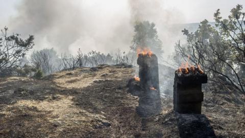 In pictures: Battling the UK wildfires - BBC News