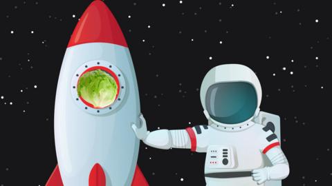 Nasa: Six-year-old Adam's space ambition 'inspires' space agency and ...